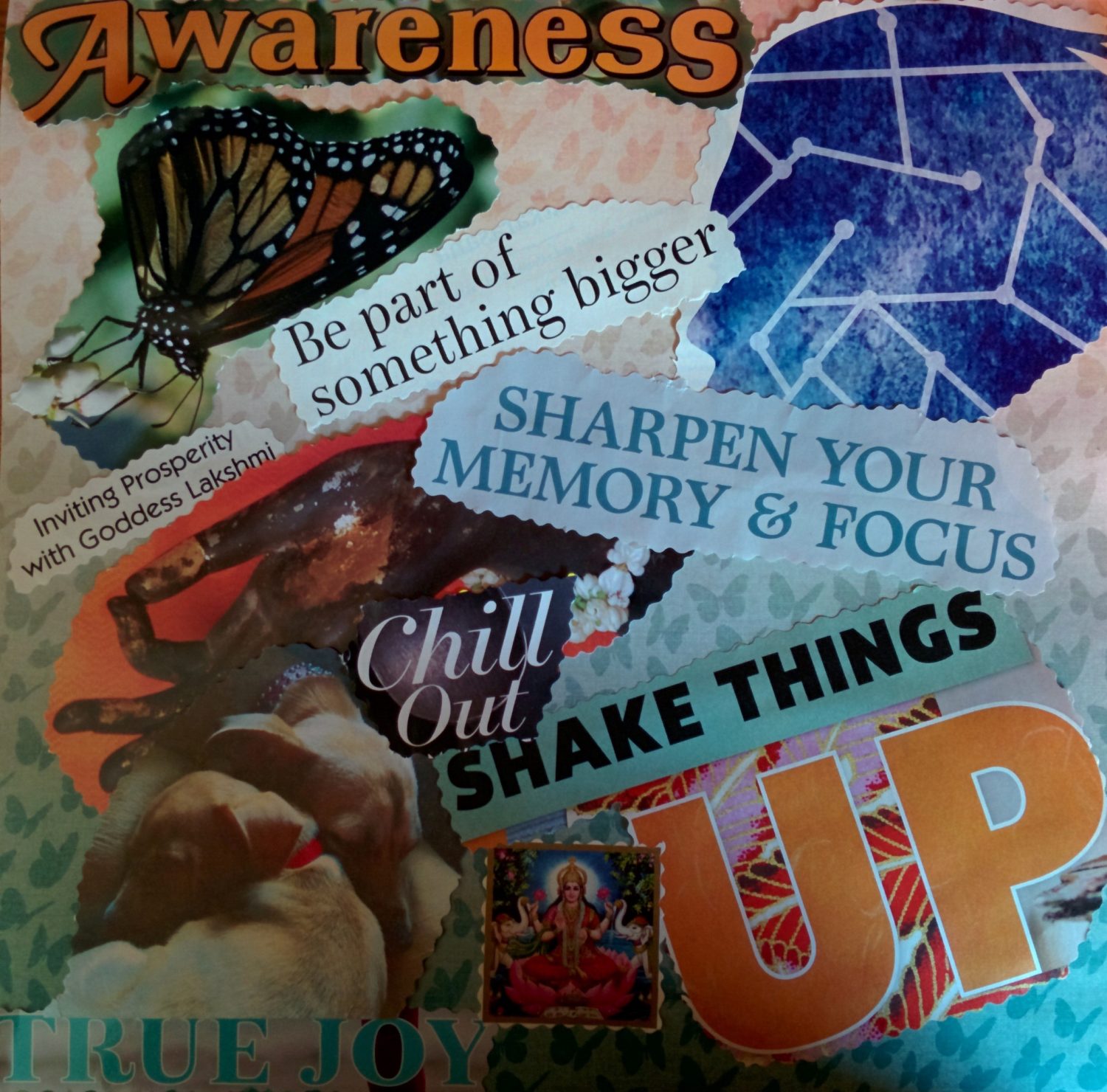 Vision Board Summer – Sanctuary for Compassion and Connection